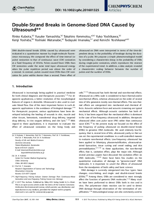 (PDF) Double-Strand Breaks in Genome-Sized DNA Caused by Ultrasound