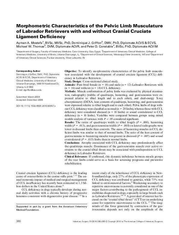 (PDF) Morphometric Characteristics of the Pelvic Limb Musculature of ...