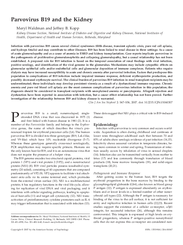 (PDF) Parvovirus B19 and the Kidney: Table 1