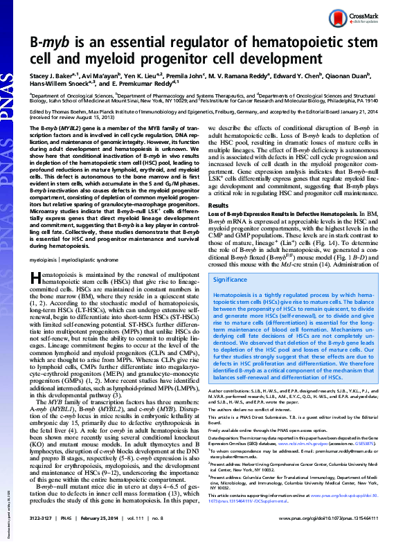 (PDF) B- myb is an essential regulator of hematopoietic stem cell and ...