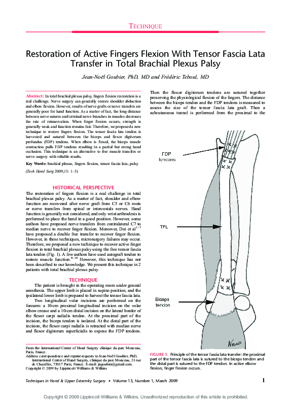 (PDF) Restoration of active fingers flexion with tensor fascia lata ...