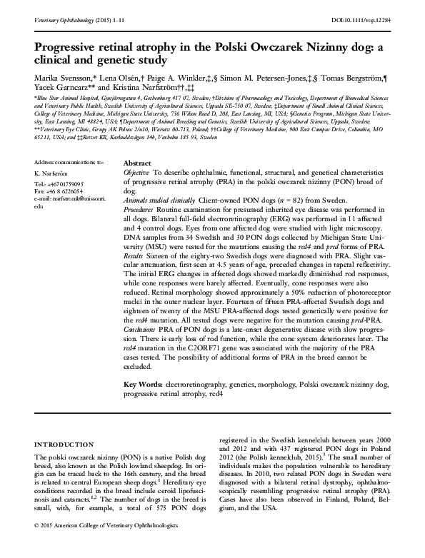 (PDF) Progressive retinal atrophy in the Polski Owczarek Nizinny dog: a ...