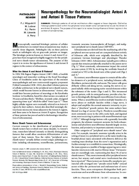 (PDF) Neuropathology for the Neuroradiologist: Antoni A and Antoni B ...