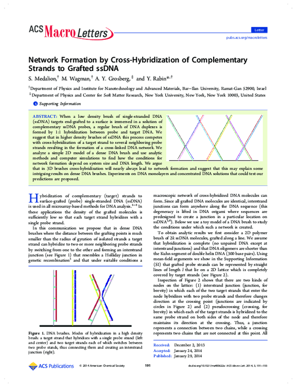 Pdf Network Formation By Cross Hybridization Of Complementary Strands To Grafted Ssdna