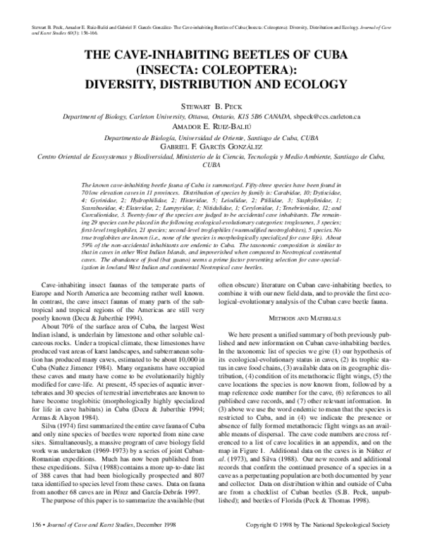 (PDF) The cave-inhabiting beetles of Cuba (Insecta: Coleoptera ...