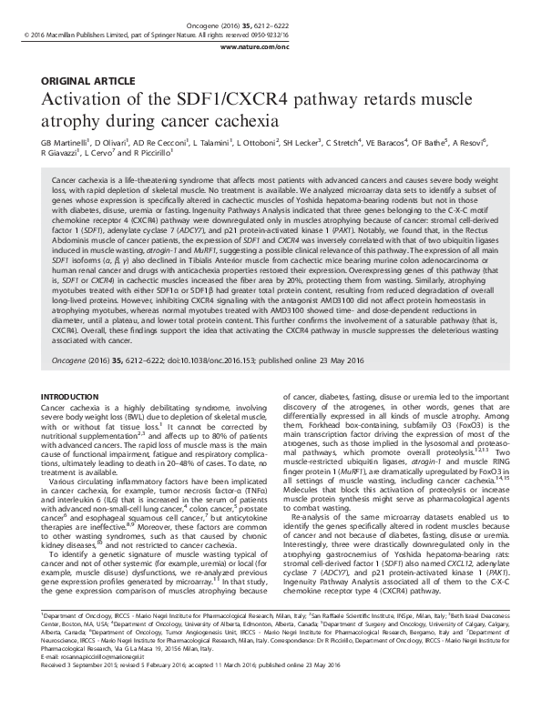 (PDF) Activation of the SDF1/CXCR4 pathway retards muscle atrophy ...