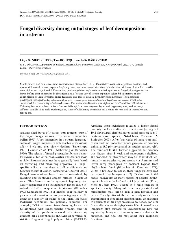 (PDF) Fungal diversity during initial stages of leaf decomposition in a ...
