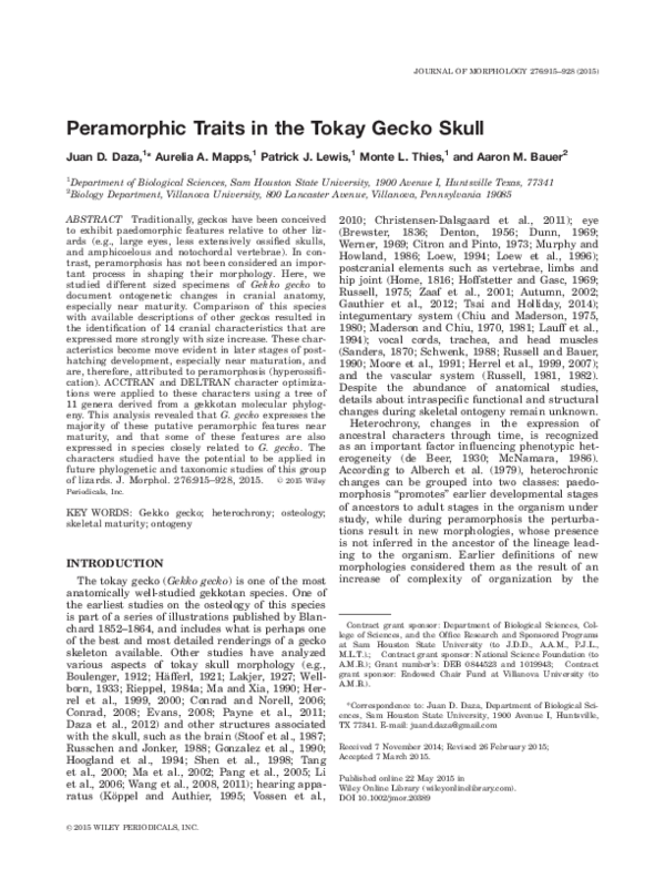 (PDF) Peramorphic traits in the tokay gecko skull