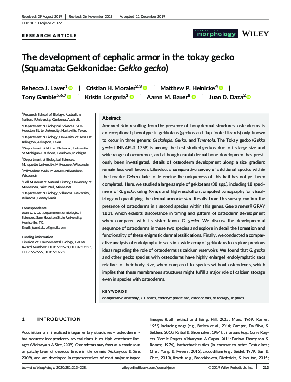 (PDF) The development of cephalic armor in the tokay gecko (Squamata ...