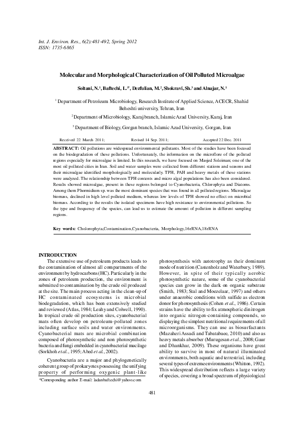 (PDF) Molecular and Morphological Characterization of Oil Polluted ...