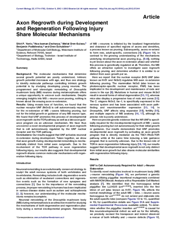 (PDF) Axon Regrowth during Development and Regeneration Following ...