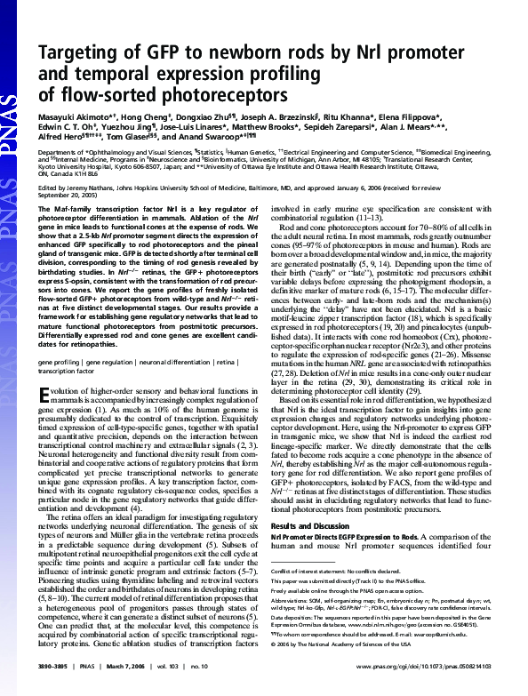 (PDF) GFP Targeting and Expression in Rod Photoreceptors