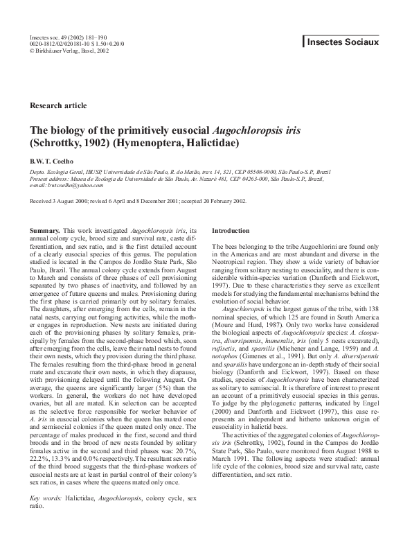 (PDF) The biology of the primitively eusocial Augochloropsis iris ...