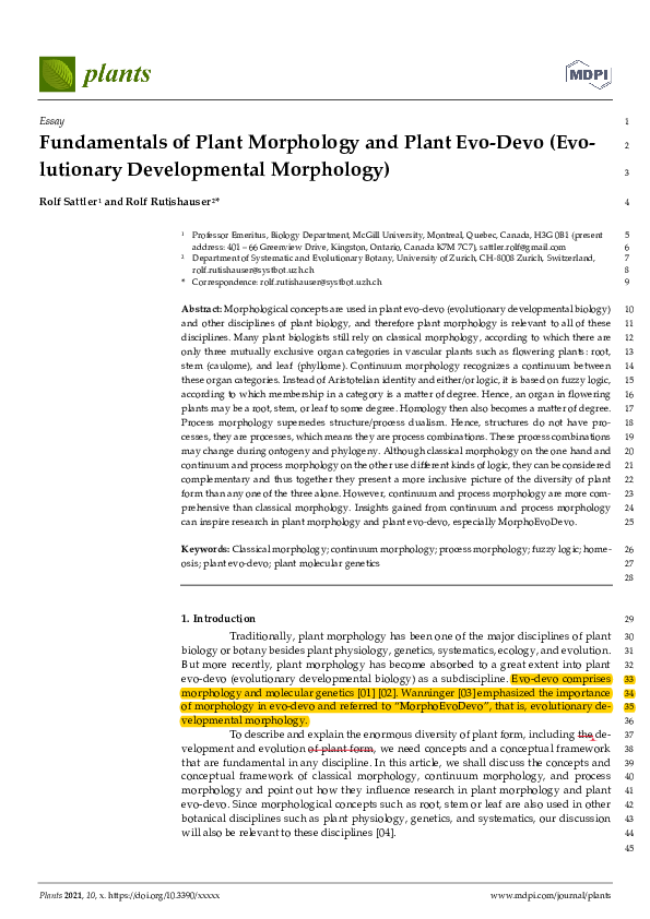 (PDF) Fundamentals of Plant Morphology and Plant Evo-Devo (Evolutionary ...