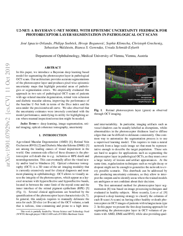 (PDF) U2-Net: A Bayesian U-Net Model With Epistemic Uncertainty Feedback For Photoreceptor Layer ...
