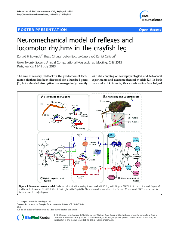 (PDF) Neuromechanical model of reflexes and locomotor rhythms in the ...