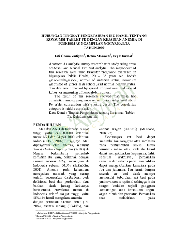 (PDF) Hubungan Tingkat Pengetahuan Ibu Hamil Tentang Konsumsi Tablet Fe ...