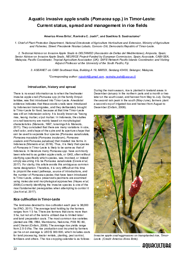 (PDF) Aquatic invasive apple snails (Pomacea spp.) in Timor-Leste ...