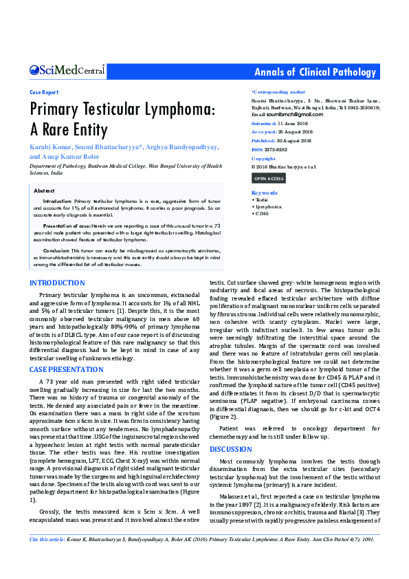 Pdf Primary Testicular Lymphoma A Rare Entity Anup Kumar Boler