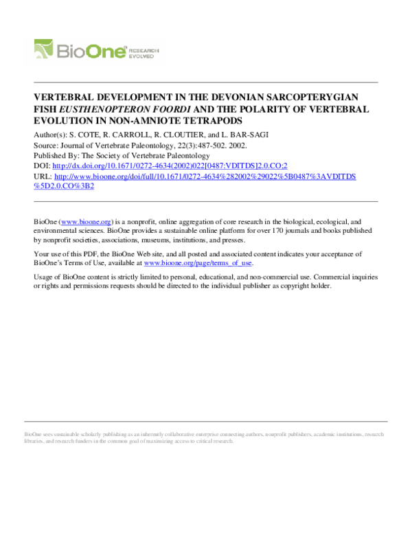 (PDF) Vertebral development in the Devonian Sarcopterygian ...