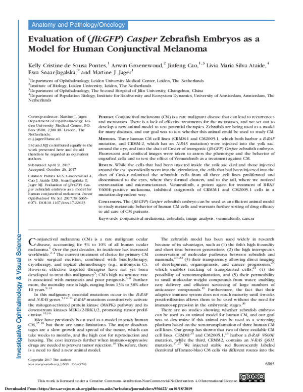 (PDF) Evaluation of (fli:GFP) Casper Zebrafish Embryos as a Model for ...