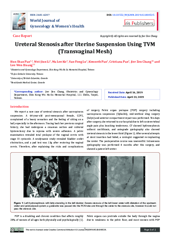 Ureteral Stenosis after Uterine Suspension Using TVM (Transvaginal Mesh)