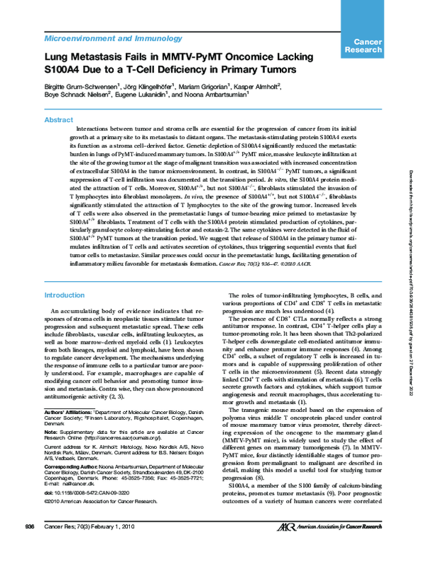 (PDF) Lung Metastasis Fails in MMTV-PyMT Oncomice Lacking S100A4 Due to ...