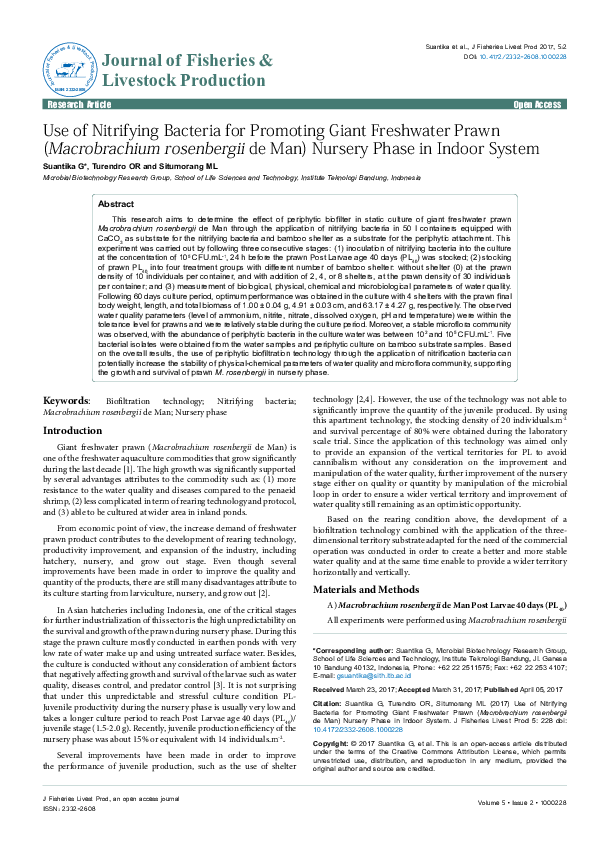 (PDF) Use of Nitrifying Bacteria for Promoting Giant Freshwater Prawn ...