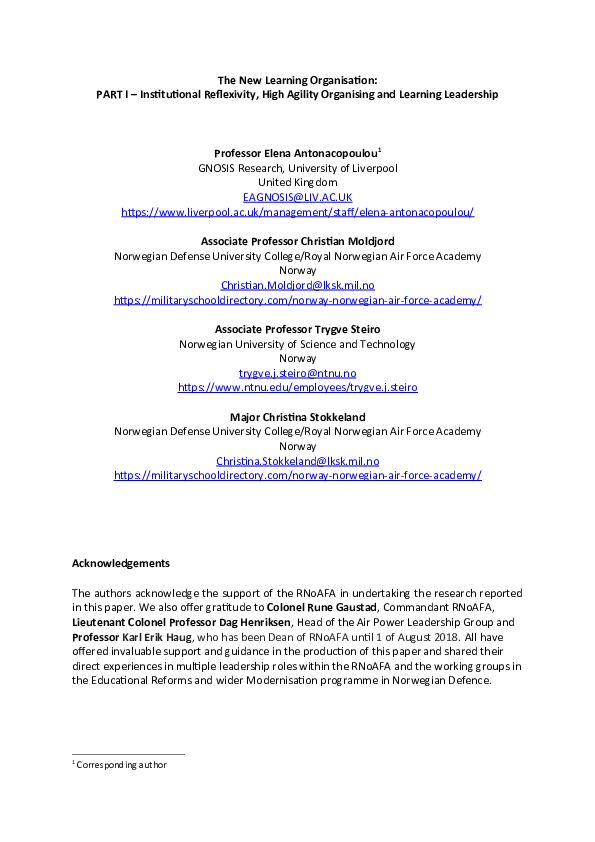 (DOC) The New Learning Organisation