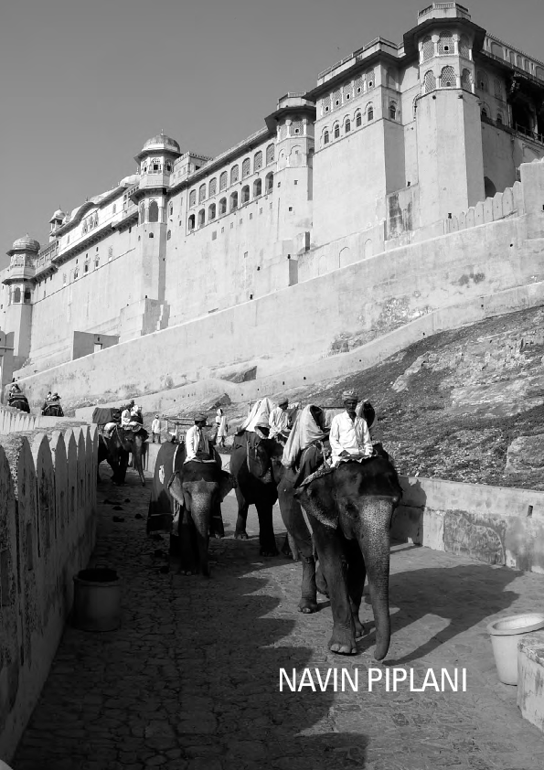 (PDF) Theoretical underpinnings of conservation in India