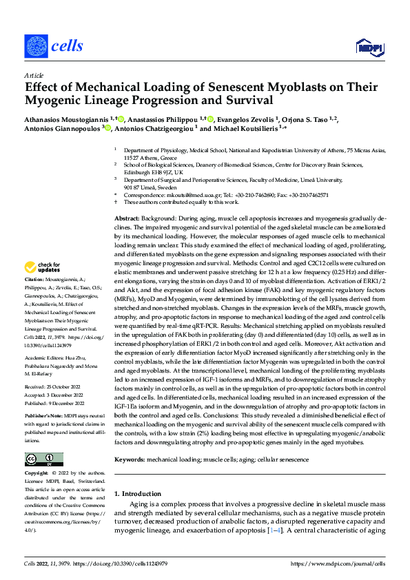 (PDF) Effect of Mechanical Loading of Senescent Myoblasts on Their ...