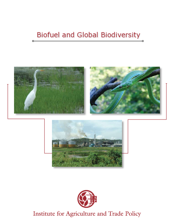 (PDF) Biofuel and global biodiversity