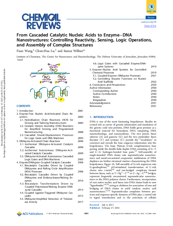(PDF) From Cascaded Catalytic Nucleic Acids to Enzyme–DNA Nanostructures: Controlling Reactivity ...