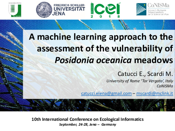 (PDF) A Machine Learning approach to the assessment of the ...