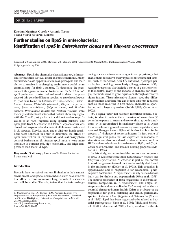 (PDF) Further studies on RpoS in enterobacteria: identification of rpoS ...