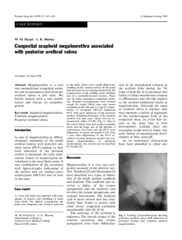 (PDF) Congenital scaphoid megalourethra associated with posterior ...