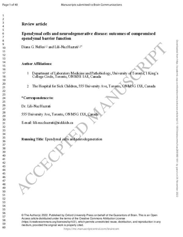 (PDF) Ependymal cells and neurodegenerative disease: outcomes of ...