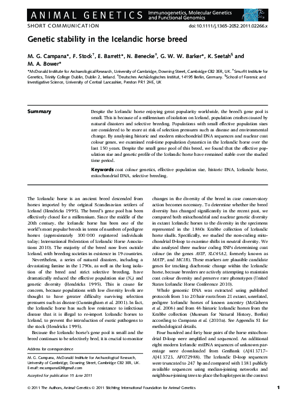 (PDF) Genetic stability in the Icelandic horse breed