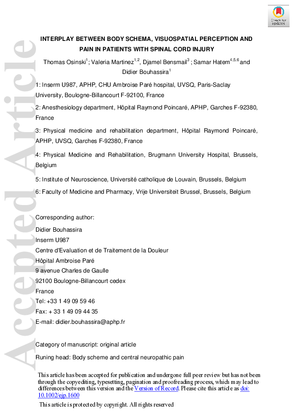 (PDF) Interplay between body schema, visuospatial perception and pain ...