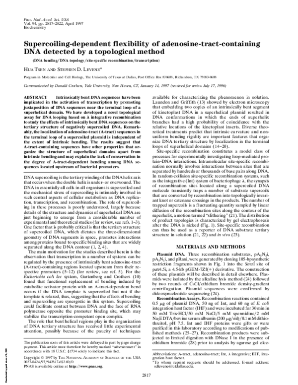 (PDF) Supercoiling-dependent flexibility of adenosine-tract-containing DNA detected by a ...