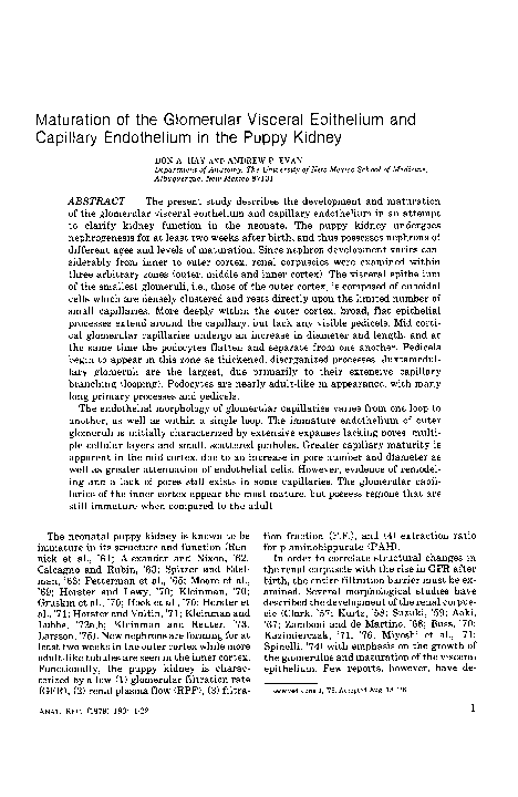 (PDF) Maturation of the glomerular visceral epithelium and capillary ...