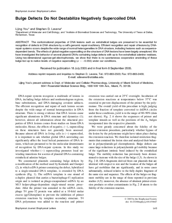 (PDF) Bulge Defects Do Not Destabilize Negatively Supercoiled DNA