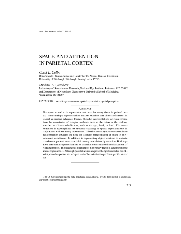 (PDF) Space and Attention in Parietal Cortex