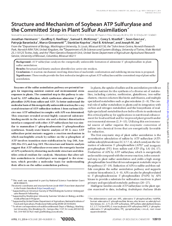 (PDF) Structure and Mechanism of Soybean ATP Sulfurylase and the ...