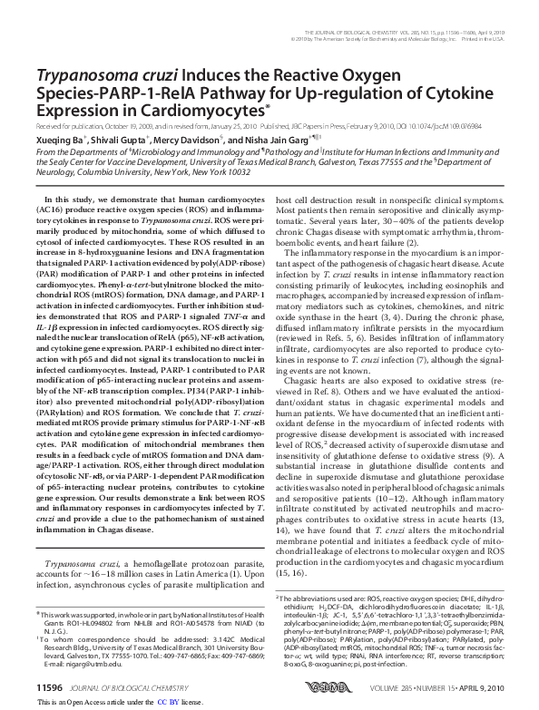 (PDF) Trypanosoma cruzi Induces the Reactive Oxygen Species-PARP-1-RelA ...