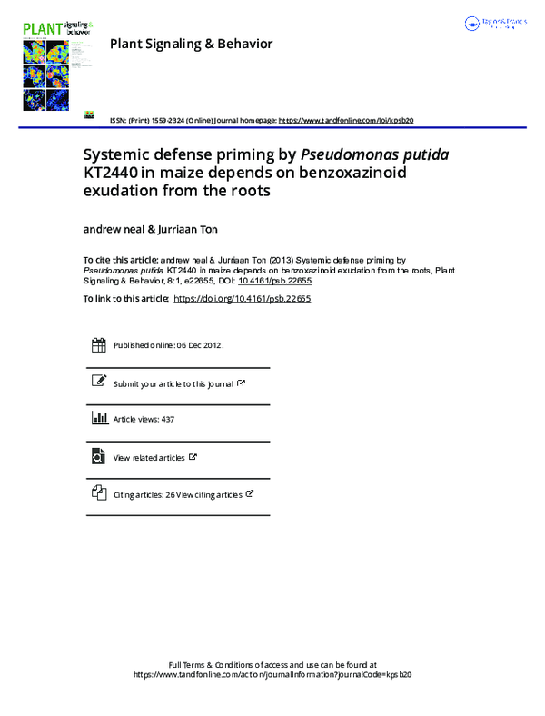 (PDF) Systemic defense priming byPseudomonas putidaKT2440 in maize ...