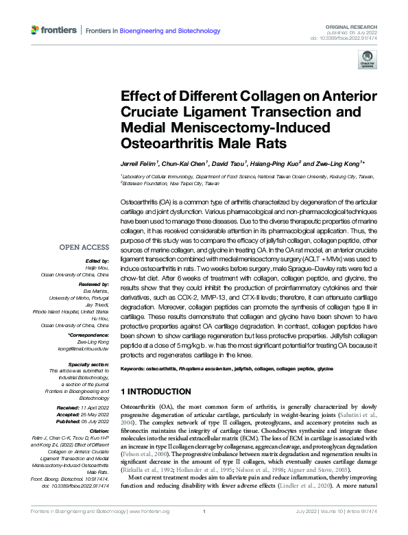 (PDF) Effect of Different Collagen on Anterior Cruciate Ligament ...