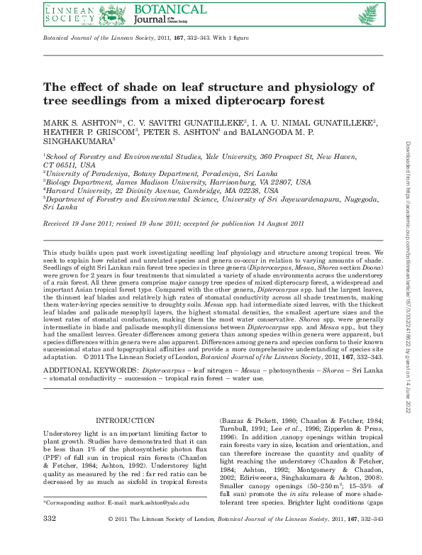 (PDF) The effect of shade on leaf structure and physiology of tree ...