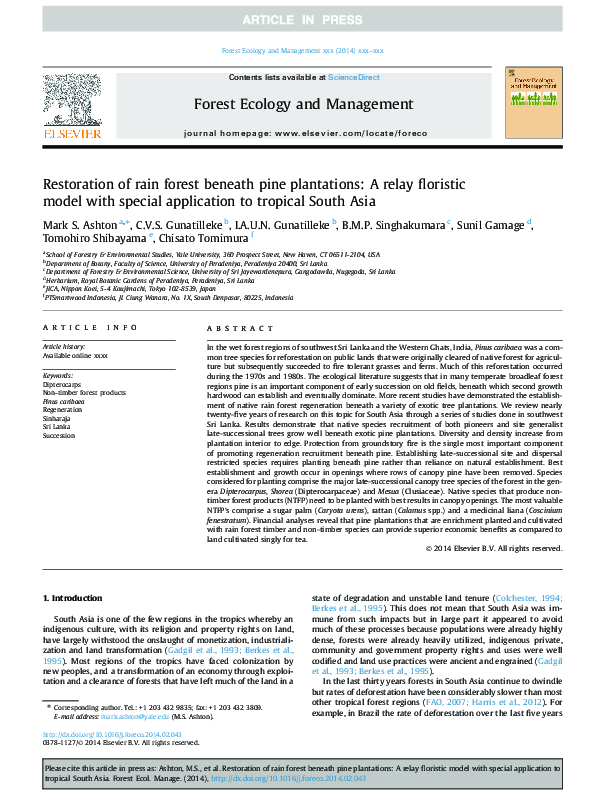 (PDF) Restoration of rain forest beneath pine plantations: A relay ...