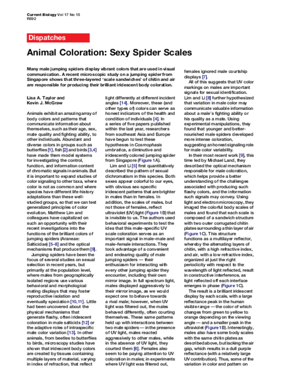 (PDF) Dispatches Animal Coloration : Sexy Spider Scales | Lisa L ...